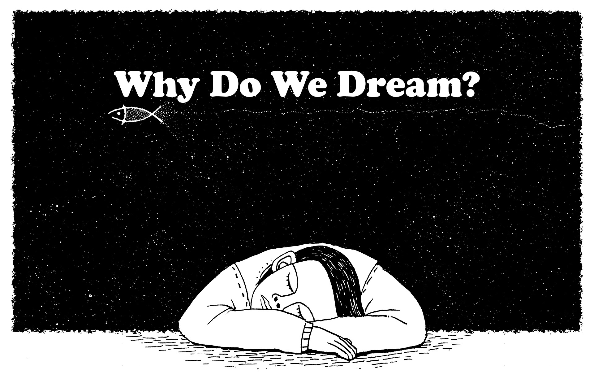 Why Do We Dream, Dream Cycles, and Types of Dreams - Kboom